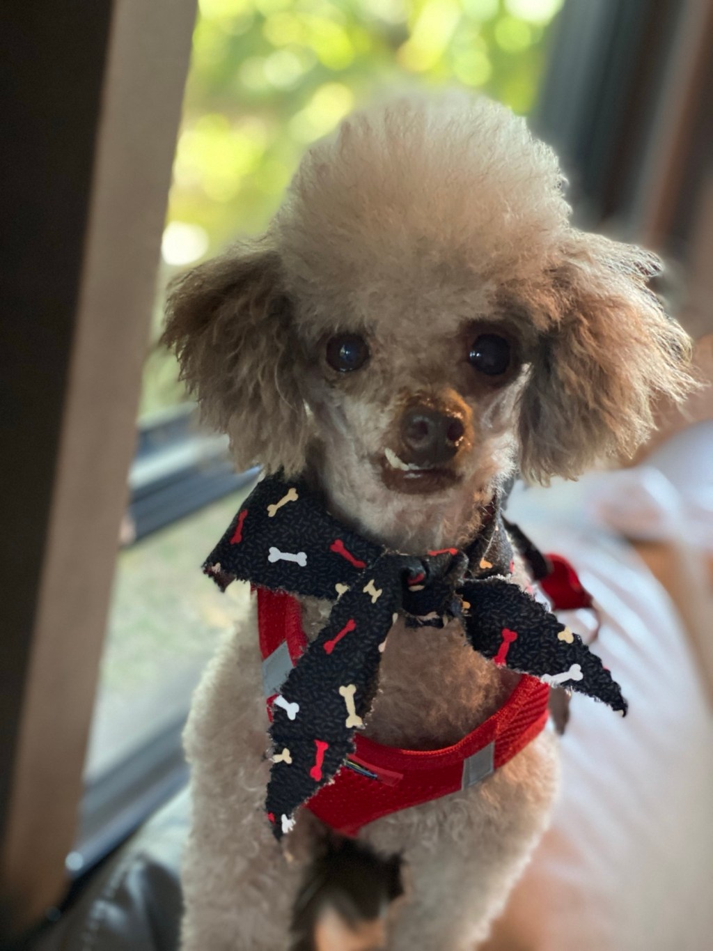 We love you Bob! | Marnie and Steve Travel